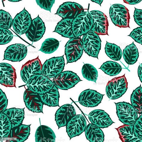 장미 싹과 잎과 매끄러운 패턴 흰색 배경에 대한 그래픽 투약 목도리 손수건 결혼식 드레스 직물 벽지 패턴 디지털 종이 의상의 디자인을 위해 0명에 대한 스톡 벡터 아트 및