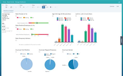 Reporting And Analytics In Sap Successfactors Hxm Sap Community