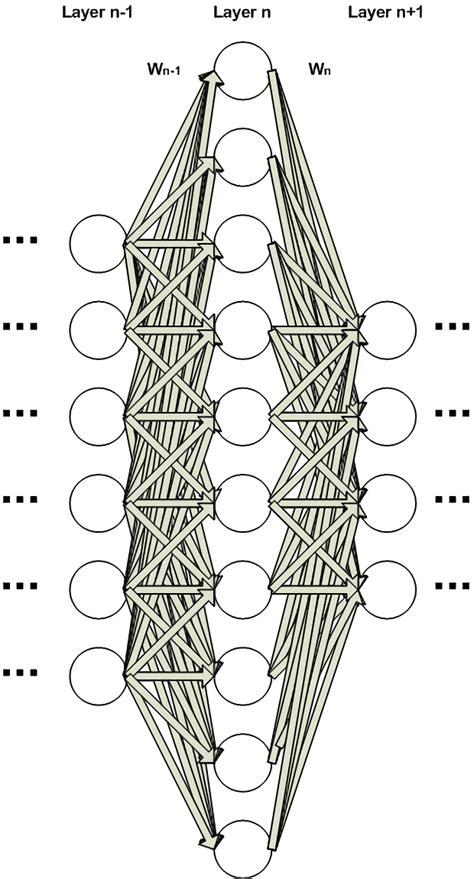 Layers N 1 N And N 1 Of A Fully Connected Neural Network