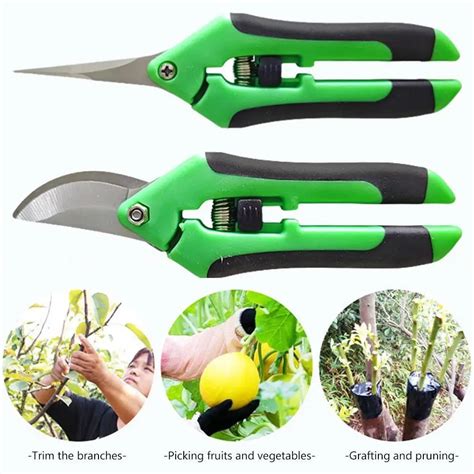 S7520e6ad751d40409326a68594a712b8y