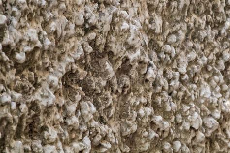 coarse grained plaster on the wall of the house as an element of the design solution an example