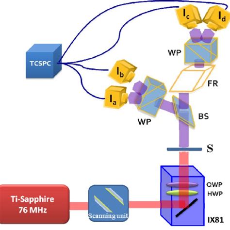 Schematic Diagram Of Polarization Resolved Shg Microscope With Download Scientific Diagram