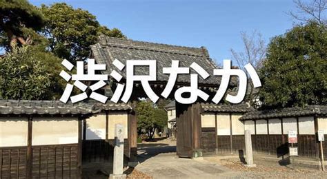 渋沢ゑい 渋沢エイ の解説青天を衝け 武将人物情報史跡情報歴史観