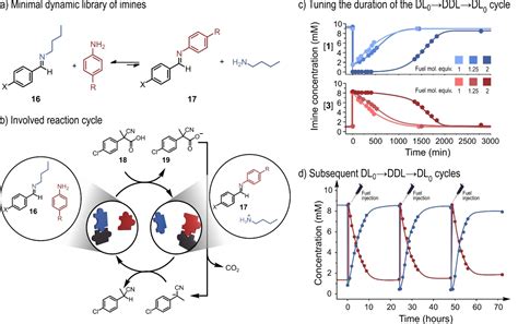 Dissipative Dynamic Libraries Ddls And Dissipative Dynamic