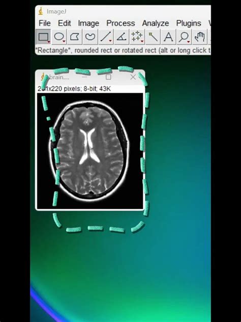 3d In Imagej Awesome 3dmodeling Imageprocessing Youtube