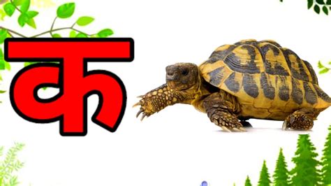 Ka Bat Kachuwa क बाट कछुवा क ख ग घ ङ अ बाट अनार अ आ इ ई Youtube