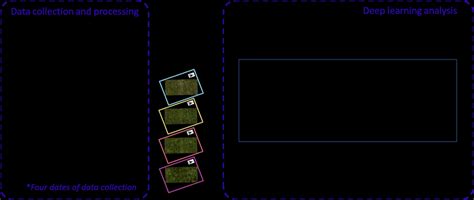 Workflow Of The Main Steps Performed In This Study Download Scientific Diagram