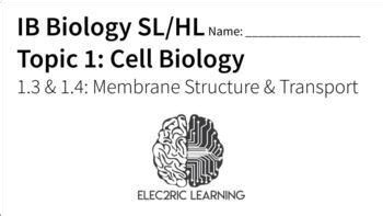 IB Biology Cell Biology Video Lecture Student Handout Link Below