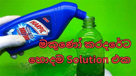 ඇද මකුණෝ විනාශ කරන්න සුපිරි බෙහෙතක් How To Get Rid Of Bed Bugs Diy Pest Control The Home