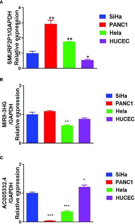 Results Of Quantitative Real Time Polymerase Chain Reaction Qrt Pcr Download Scientific