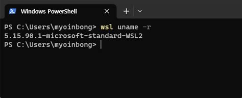 잠깐 20초만 한눈을 팔면 멈춰 서는 WSL 넷마블 기술 블로그