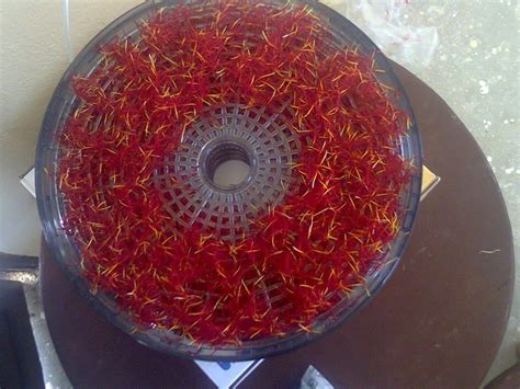 Saffron Drying Process At Victoria Jenkins Blog