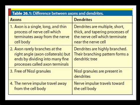 1 Neuron A Neuroglia Pptx Mbbs Year One Ppt