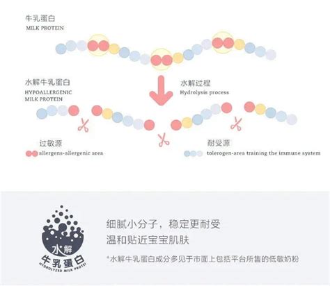 水解牛乳蛋白来自母乳的自然恩赐 知乎
