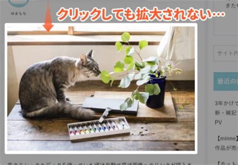 【wordpress】画像をクリックで拡大表示させる方法 ゆきもちブログ