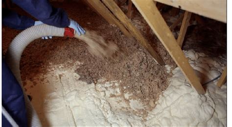 Low Density Spray Foam Application Figure 57 Blown Insulation Over Download Scientific Diagram