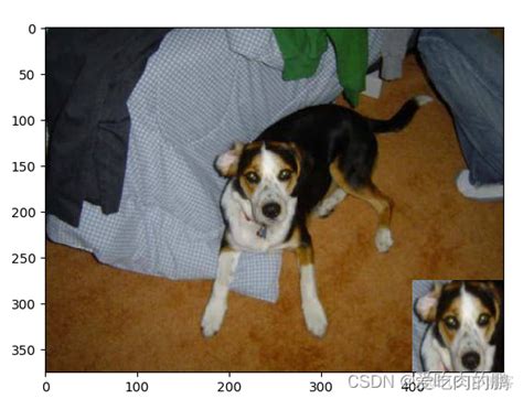 Opencv多张图像合并显示 Opencv一个窗口显示多张图mob6454cc76bc4a的技术博客51cto博客