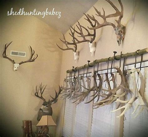 10 Antler Decoration Styles To Inspire Your Shed Finds Genel Deer Antler Decor Antlers