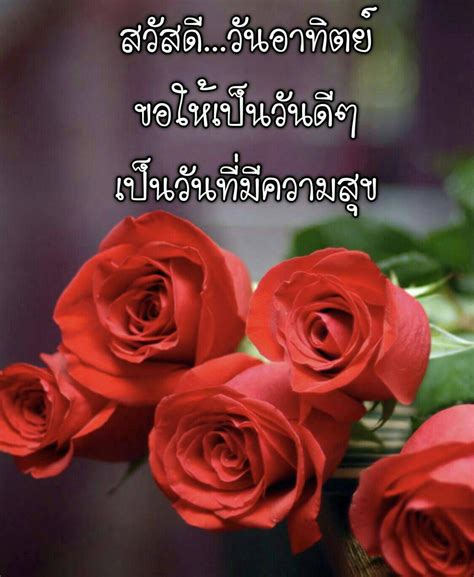 ปักพินโดย ตำลึง ริมรั้ว ใน สวัสดีทุกวัน สุขสันต์วันอาทิตย์ ฝันดีราตรีสวัสดิ์ วันอาทิตย์