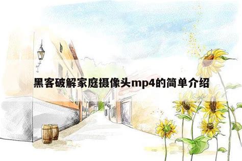 黑客接单 找黑客唯一信誉的黑客接单网站 黑客破解家庭摄像头mp4的简单介绍
