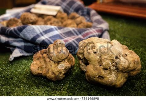 Best Excellence Pico Royalty Free Images Stock Photos Pictures Shutterstock