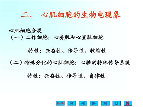 生理学第四章血液循环word文档在线阅读与下载无忧文档