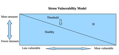 Diagram Of Stress Vulnerability Model Navigating The Stresst