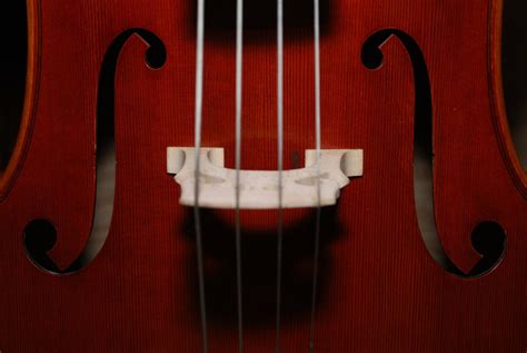 Bowed Instrument Strings
