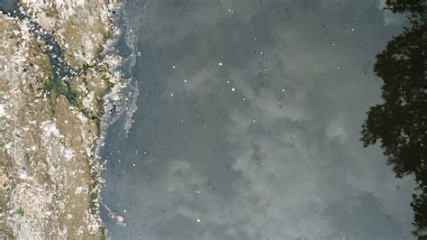 Sungaidetection Object Detection Model By Trash Monitoring System