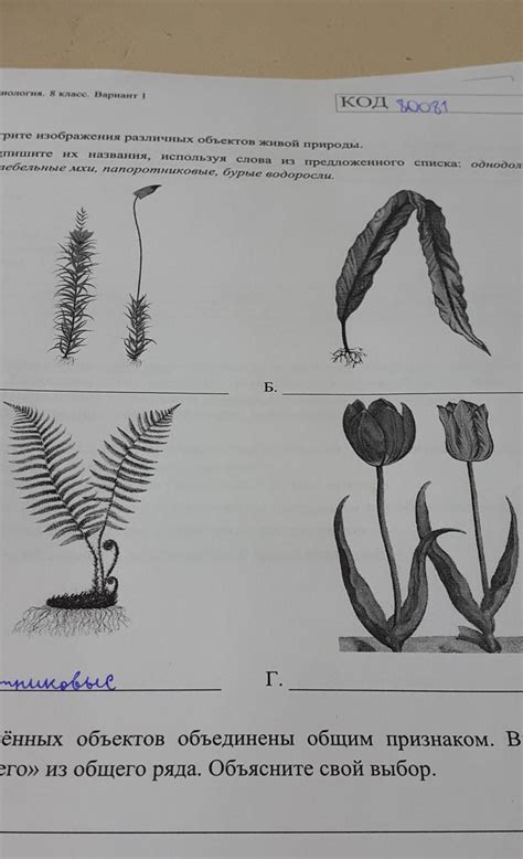 1Рассмотрите изображения различных объектов живой природы 1 1 Подпишите их названия используя