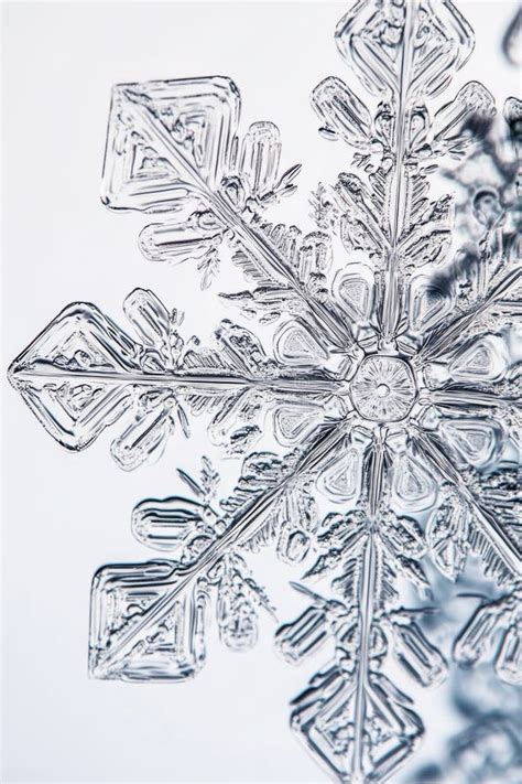 Intricate Snowflake Patterns Up Close Stock Illustration Illustration