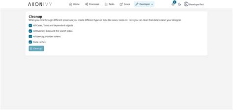Developer Workflow Ui — Axon Ivy Platform 12 0 Documentation