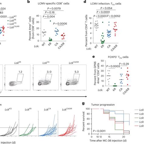 Role Of Co Receptorlck Interaction In T Cell Immunity Ab Indicated Download Scientific