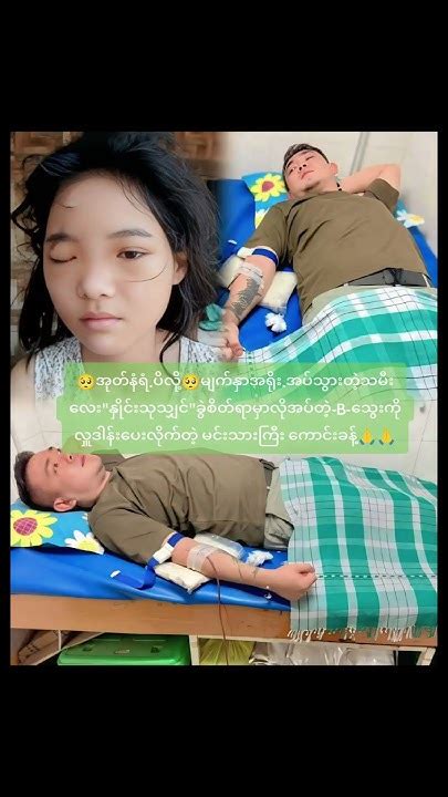 မွန်မြတ်လှသော သွေးအလှူ Youtube