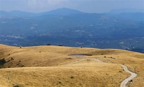 greening the chain scnode scnode