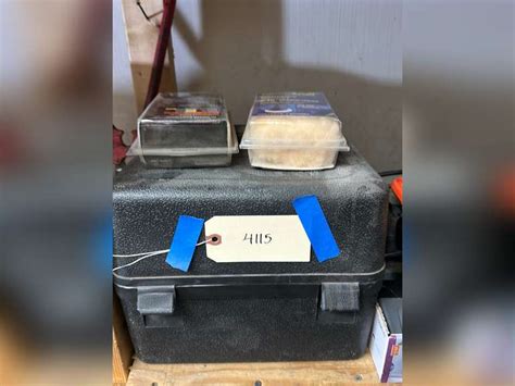 Buffer Did Not Test Northern Kentucky Auction Llc