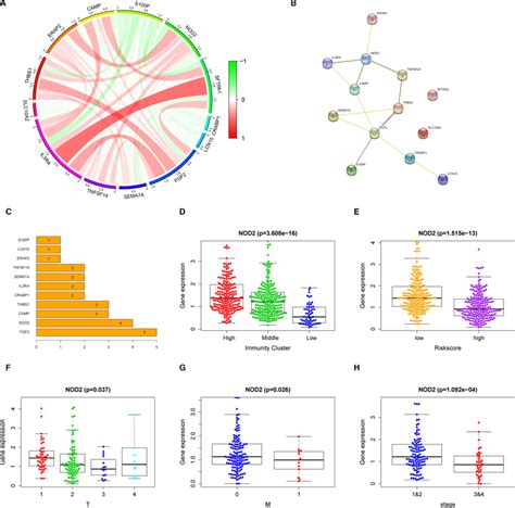 Nod2 Was The Key Immune Gene In The Tme And Acted As A Tumour Download Scientific Diagram