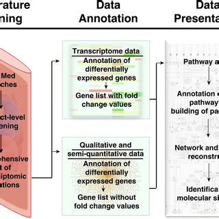Schematic Of The Workflow Employed For Filtering And Integration Of Download Scientific Diagram