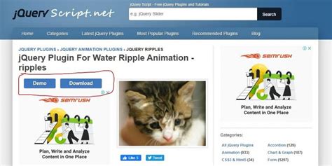 CSS Ripple Effect Examples Tutorial Examples