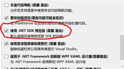 已解决安装了net6 sdkvs2019勾选使用net sdk预览版新建项目时net6框架不显示 CSDN社区