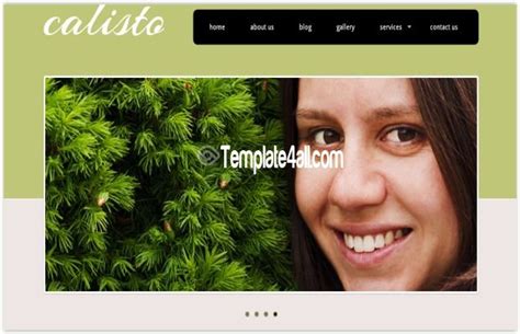 free css website templates