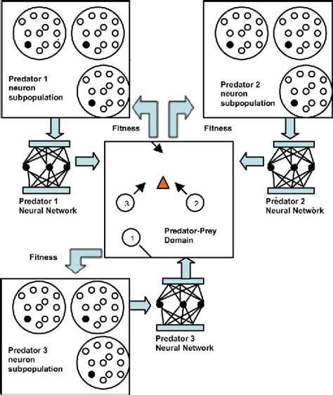 Figure From Constructing Competitive And Cooperative Agent Behavior Using Coevolution