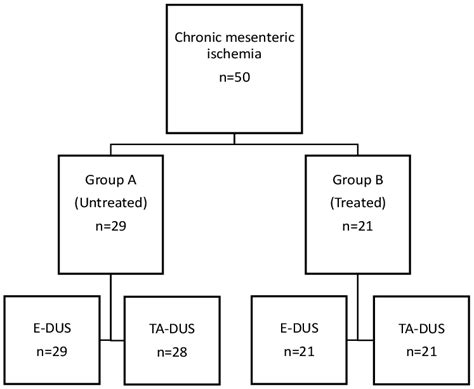 Patient Flow In 50 Patients With Chronic Mesenteric Ischemia Cmi Download Scientific Diagram