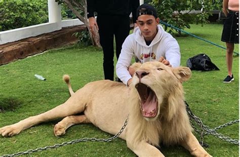 Diego Loyzaga Under Fire For Photo With Chained Lion