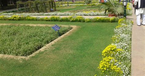 Statistical Significance And Confidence Limits Important Mcqs