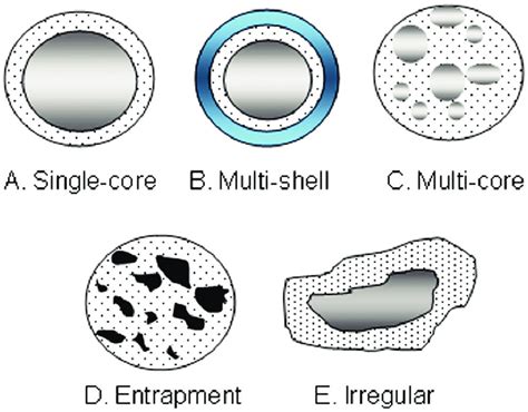 The Five Main Structural Forms Of Microcapsules Adapted From Gibbs Et