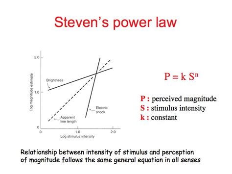Perception Lecture Notes Psychophysics
