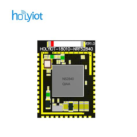Holyiot Long Range Nordic Nrf52840 Chipset Ble Module Ceramic Antenna