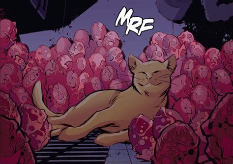 Captain Marvels Best Friend Chewie The Cat Marvel