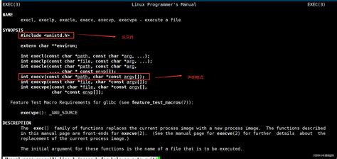 linux——详解进程替换 linux修改某个进程 csdn博客